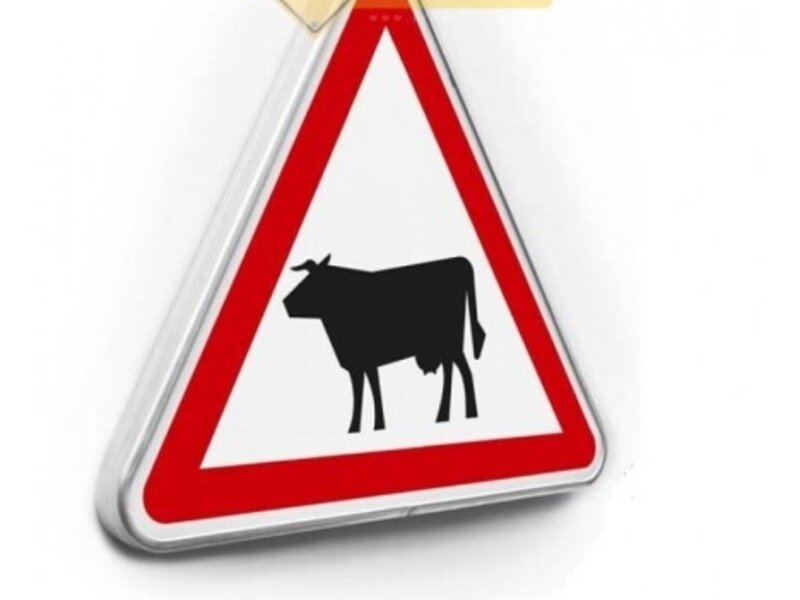 Indicator atentie animale Vand Indicator atentie animal - anuntul.ro